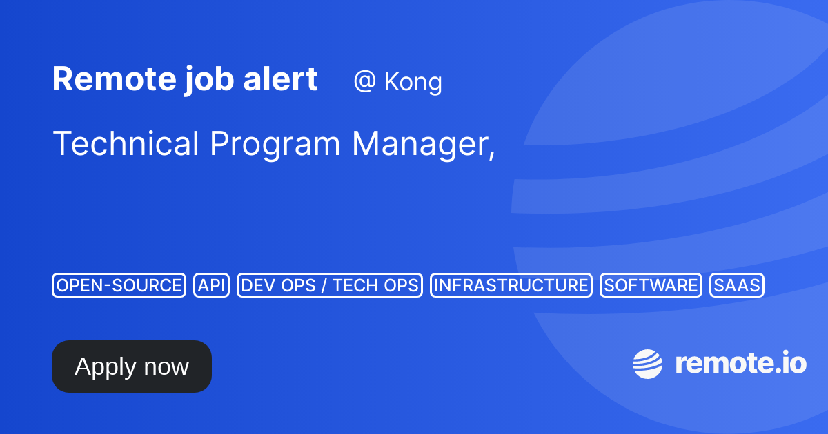 Technical Program Manager, | remote.io