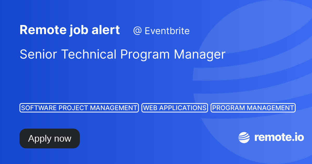 Senior Technical Program Manager | remote.io