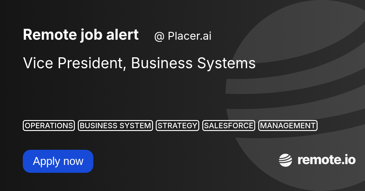 Vice President, Business Systems | remote.io